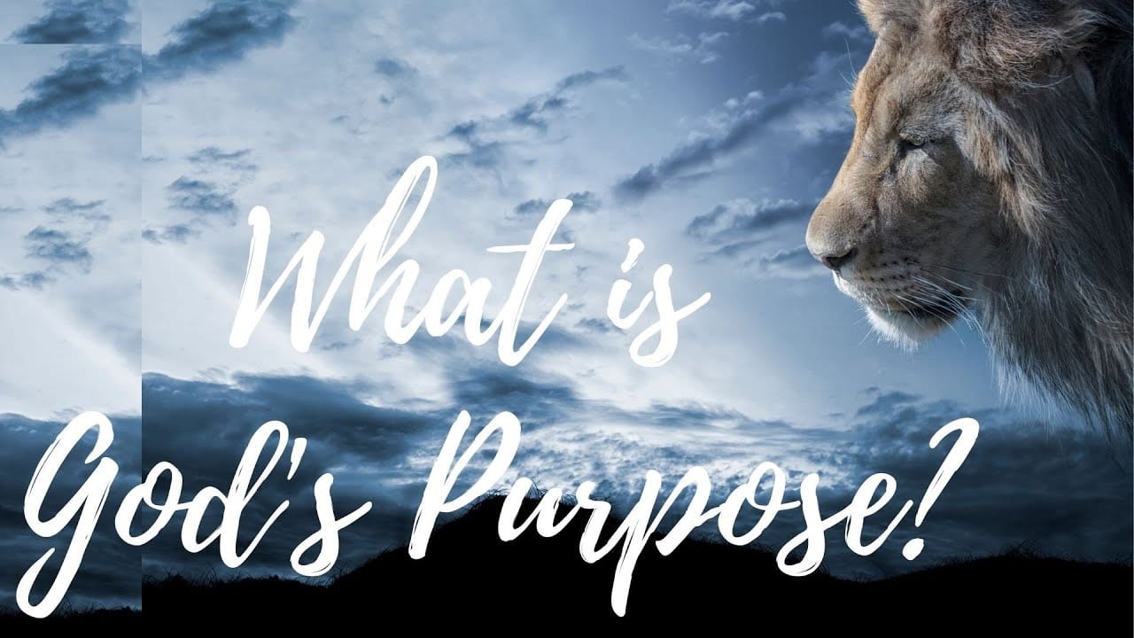 What is The Purpose of Divinity?